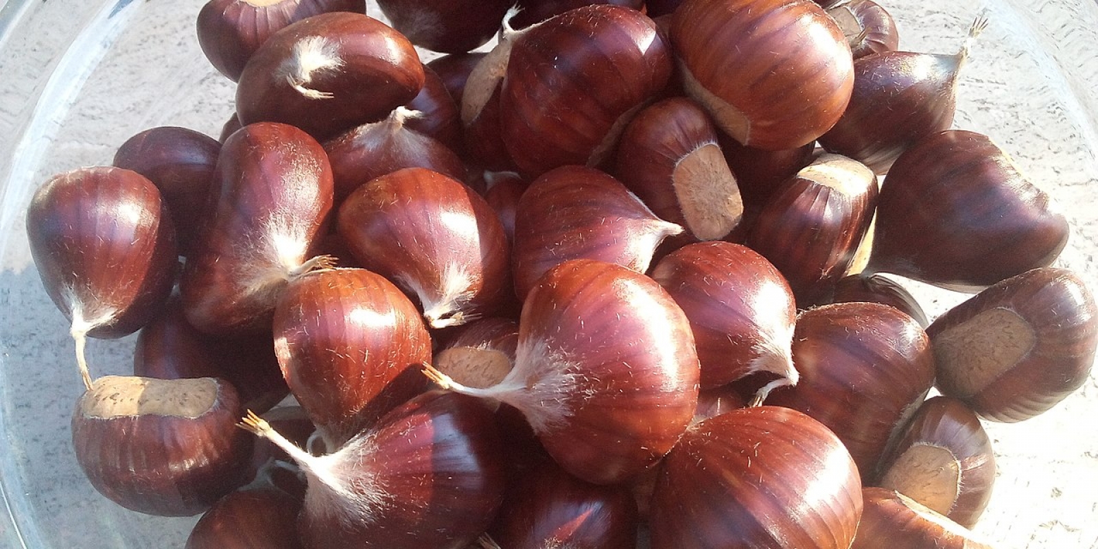 Castagnata a Montemonaco | CRALT Magazine