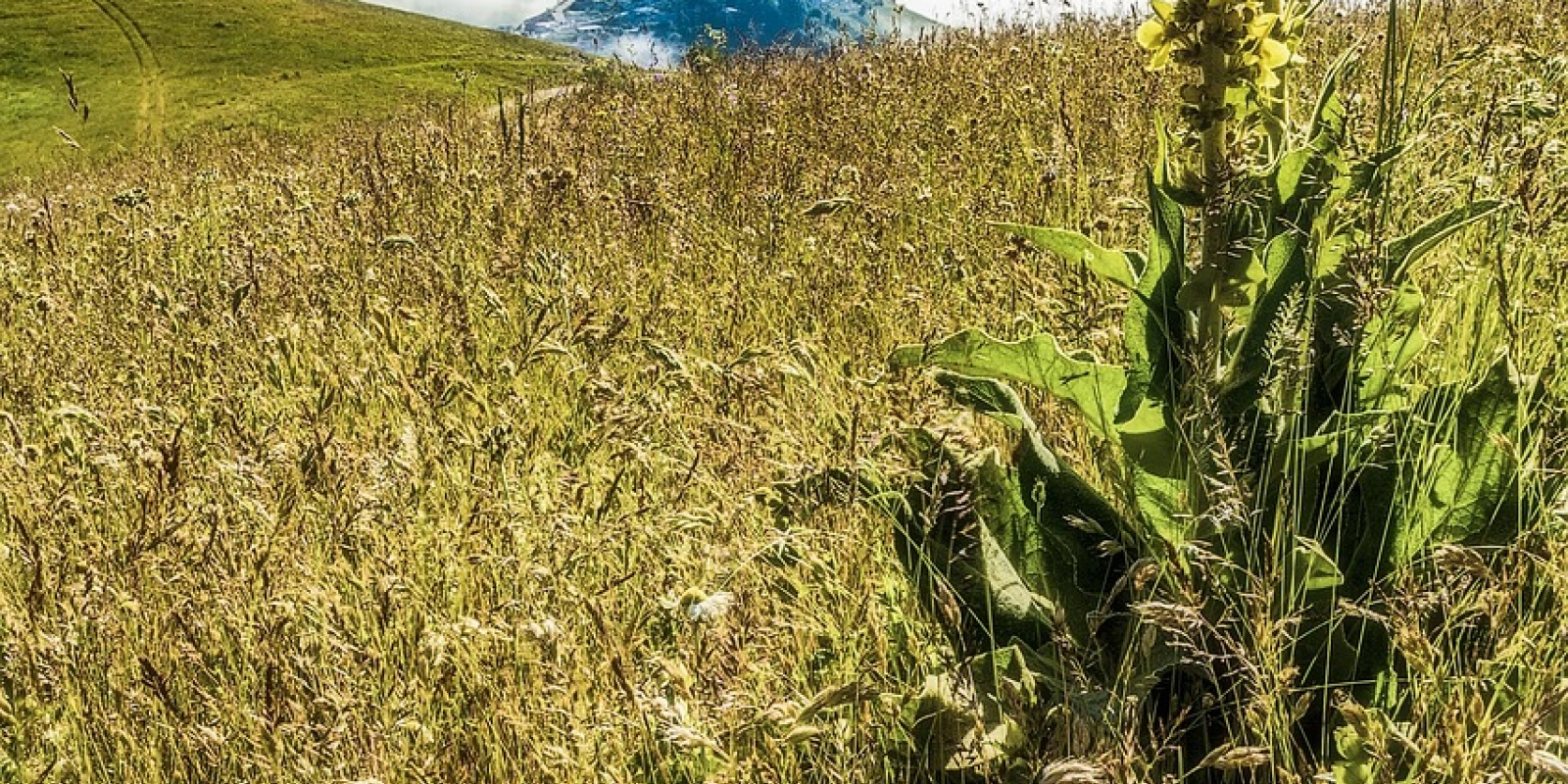 Giornata conviviale a Monte Alago | CRALT Magazine